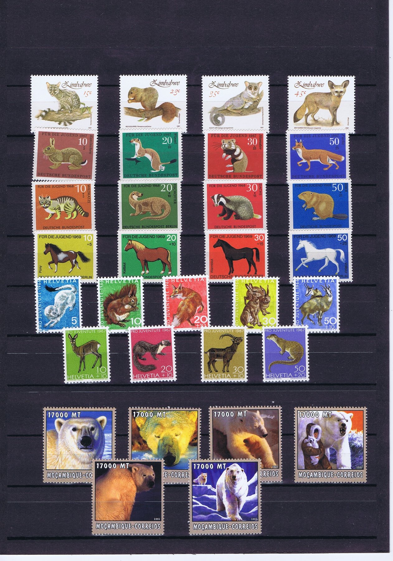 World - Animal collection from World - Catawiki
