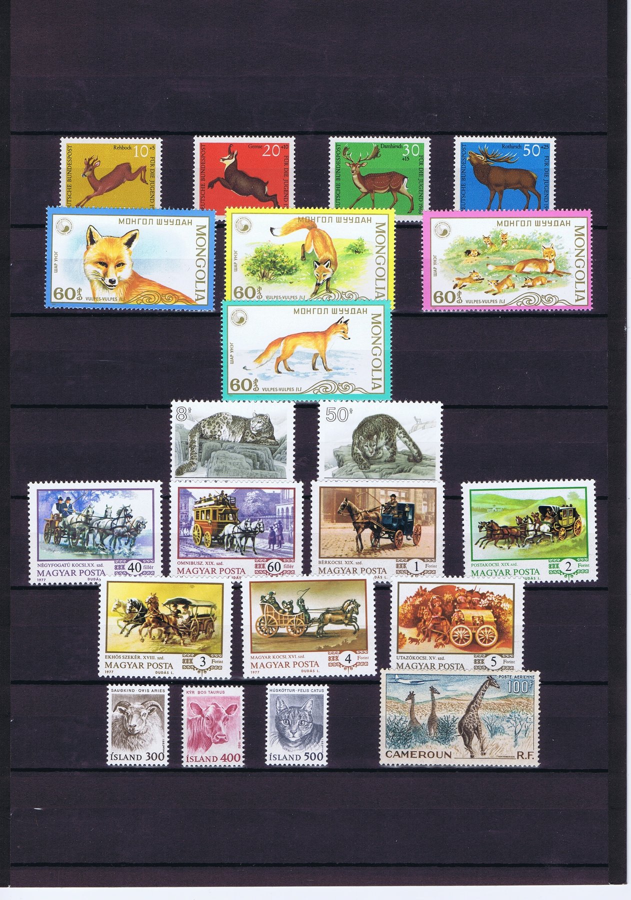 World - Animal collection from World - Catawiki