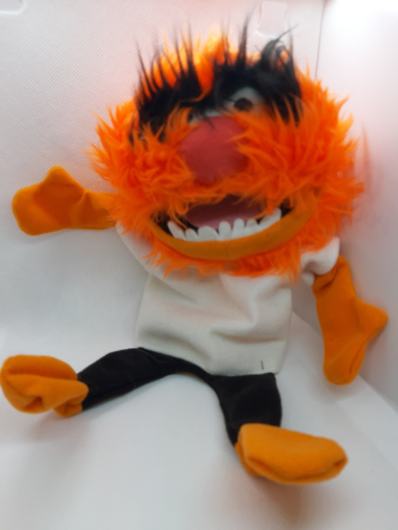 Jim Henson - the Muppets - hand puppets Collectors - Catawiki