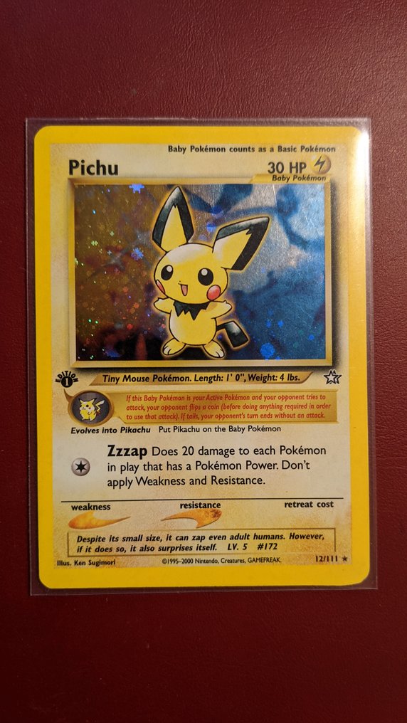 Pichu Ex Card