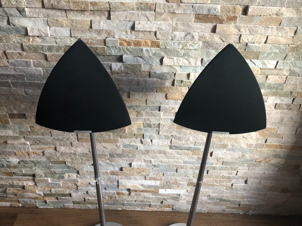 Bang & Olufsen - A Stunning pair of BeoLab 4 on mint Floor Stands ...