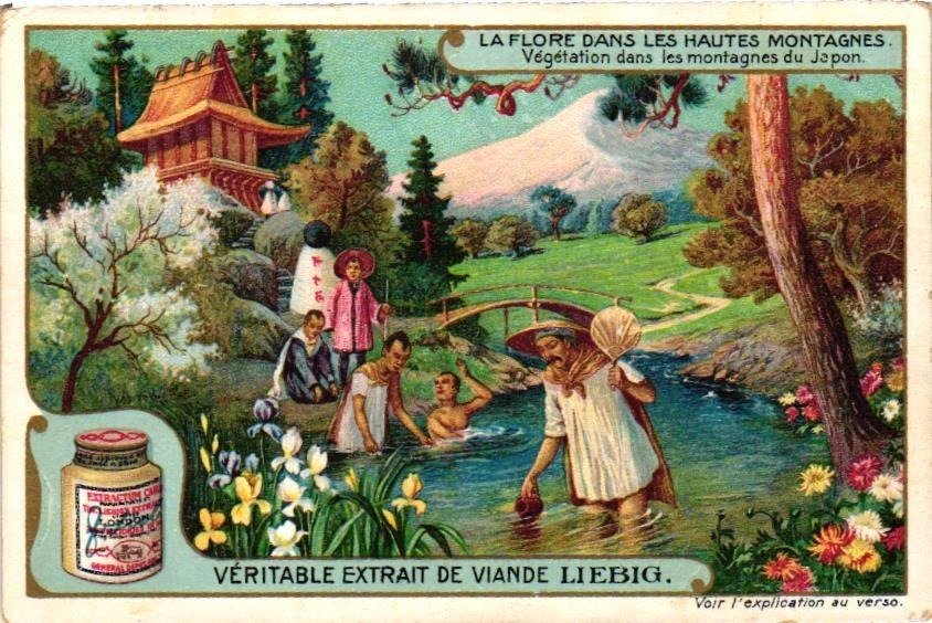 Belgium - Liebig chromo's - Liebig chromo's (Collection of - Catawiki