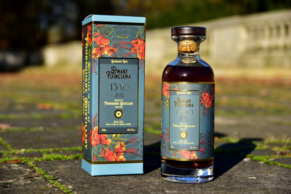 Foursquare 2006 15 years old Distilia - Dwarf Poinciana - Exclusively ...