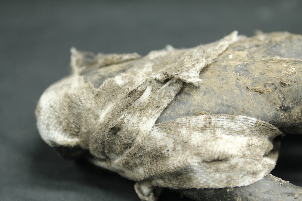 Egyptian Mummified Hand - museum-quality replica - - - - Catawiki