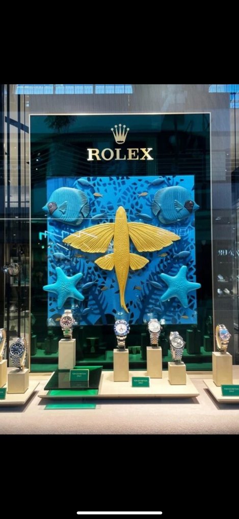 Rolex - Roldeco display - Catawiki