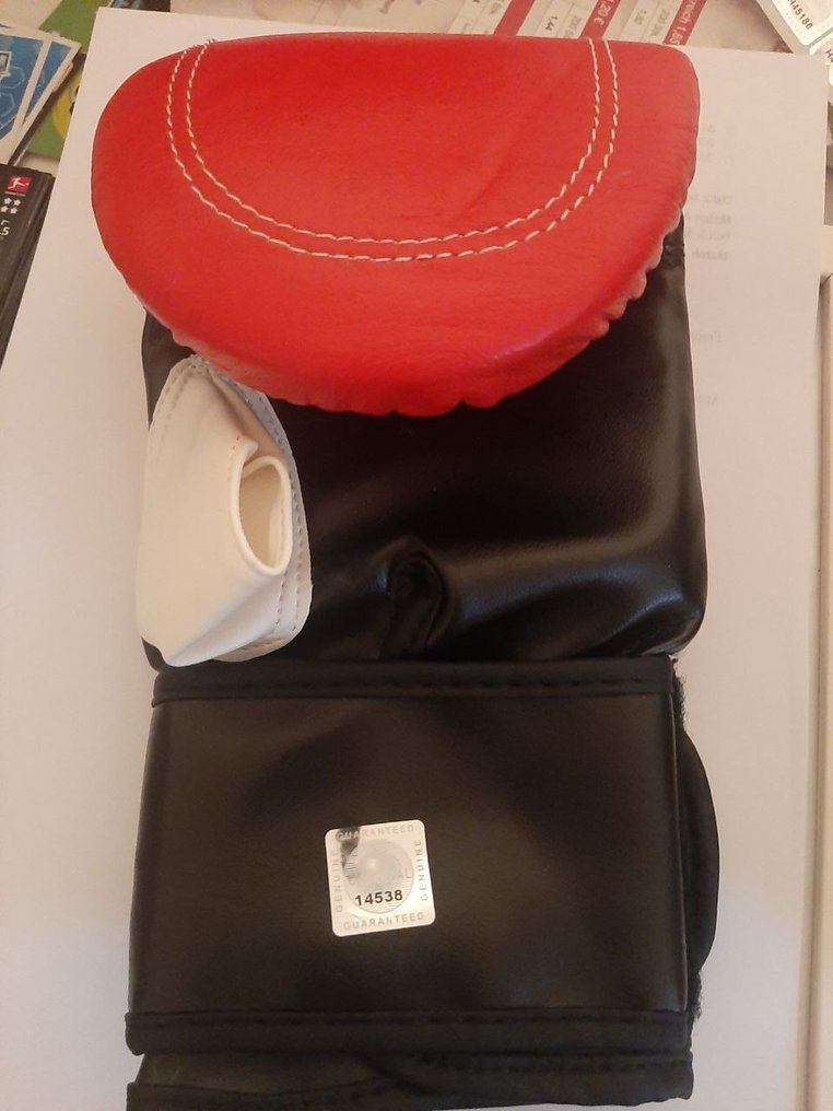 Boxing - Axel Schulz - 2022 - Boxing glove - Catawiki