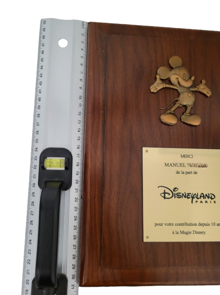 Disney Parks - Disney Cast Member Award - 10 Years - Catawiki