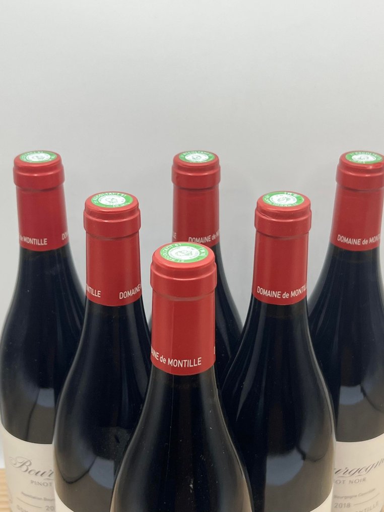 2018 Domaine de Montille - Pinot Noir - Bourgogne - 6 - Catawiki