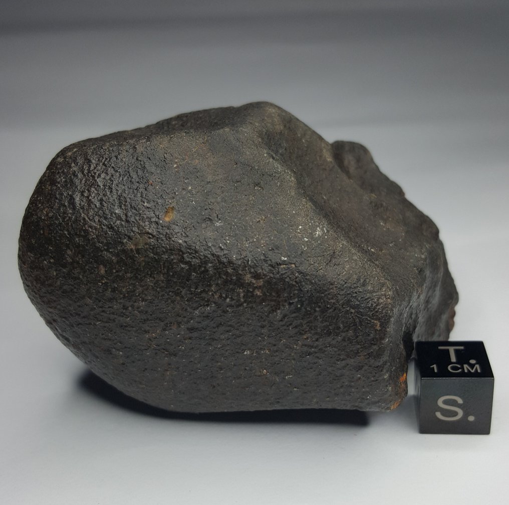 ordinary chondrite no reserve price. - 290 g - (1) - Catawiki