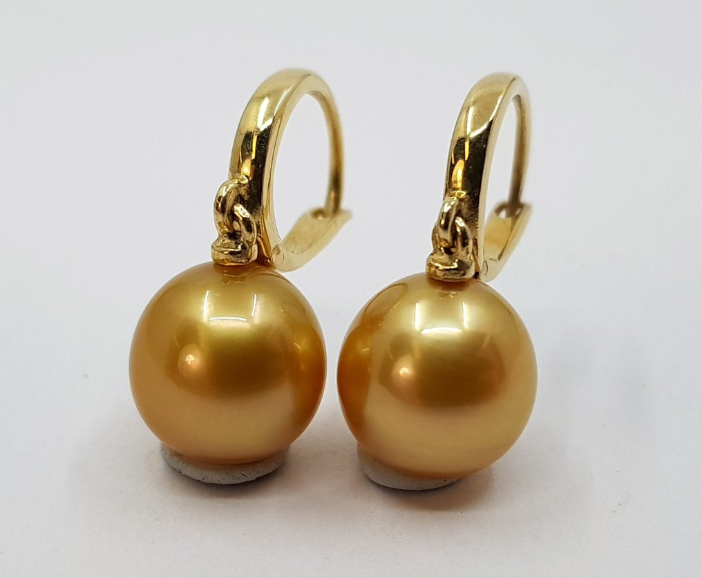 10mm Deep Golden South Sea Pearls - 14 kt. Yellow gold - Earrings - 14 kt. Gold - Earrings ...