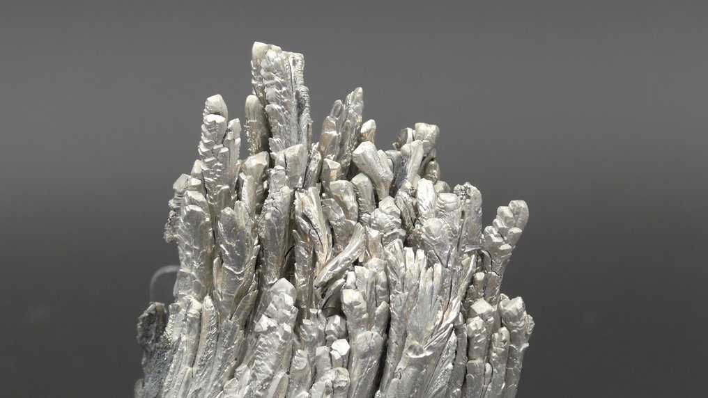 Cluster of Silver-colored Magnesium Ore with beautiful wavy - Catawiki