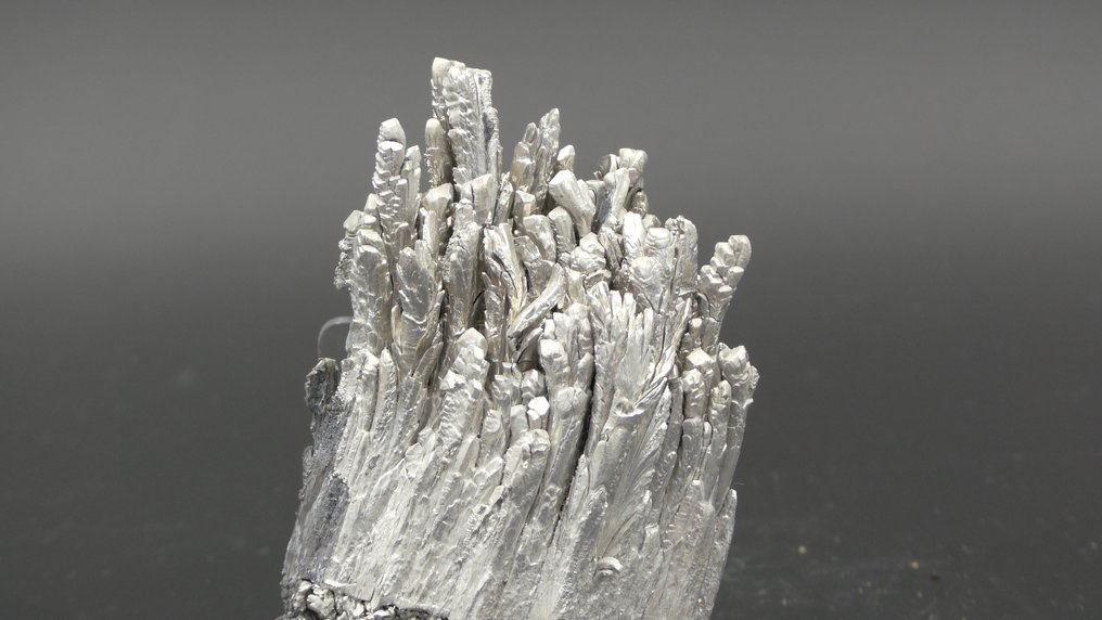 Cluster of Silver-colored Magnesium Ore with beautiful wavy - Catawiki