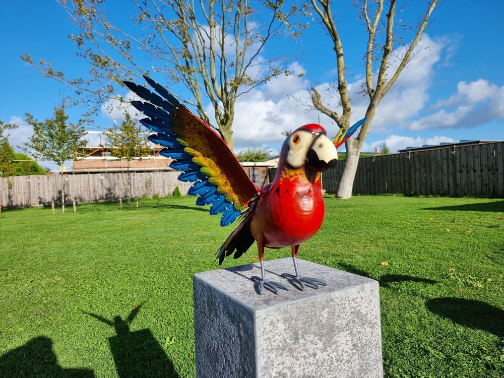 Statue, Large Metal Parrot Garden Statue - 35 cm - metal - Catawiki