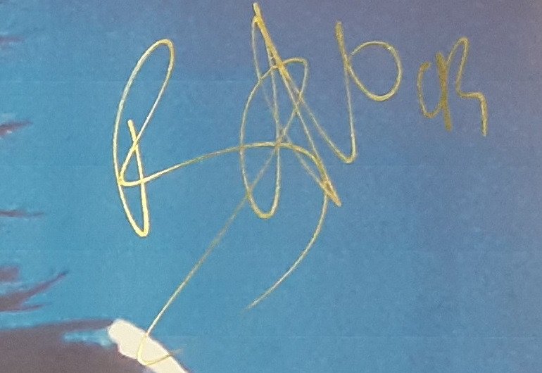 U2 - Bono - Poster - Signed by Bono - Memorabilia firmato (autografo ...