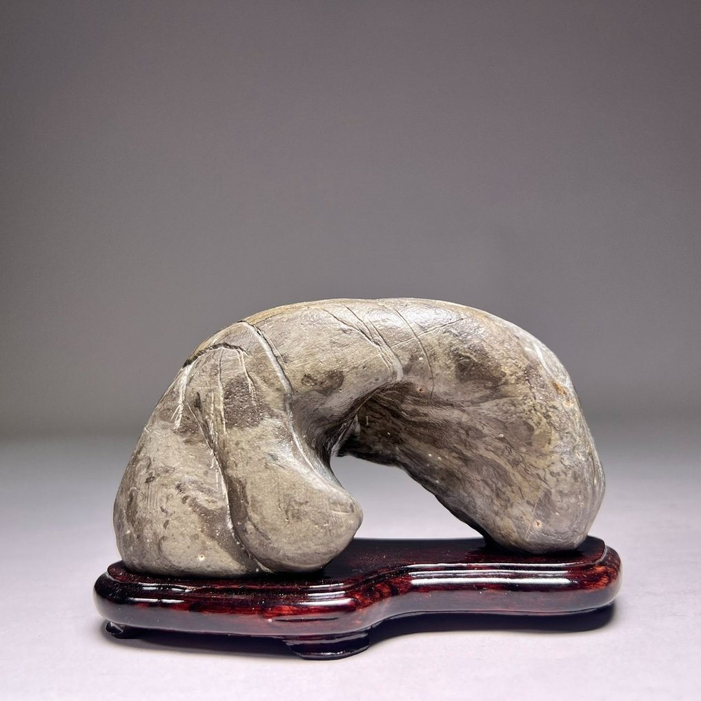 Stone - Impressive shaped Japanese viewing stone called "水石 Suiseki ...