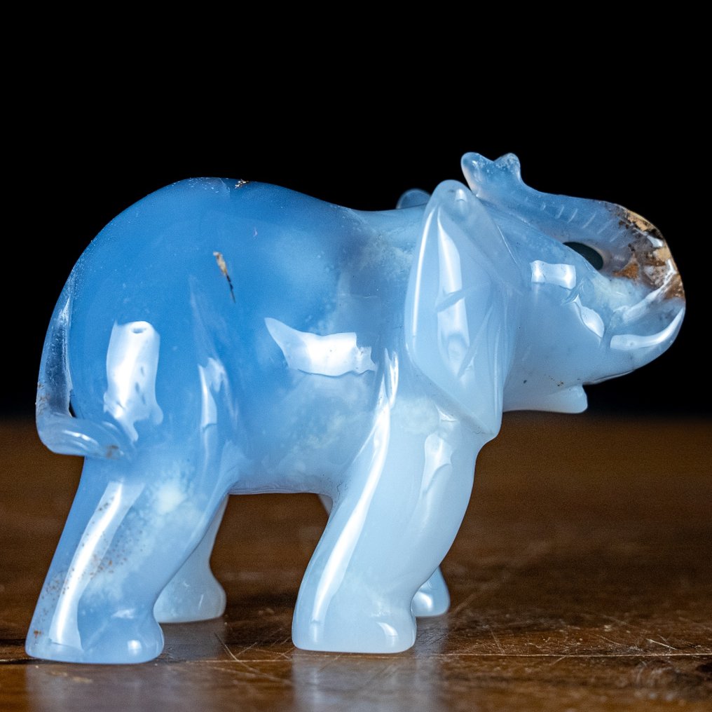 Very Rare A+++ Blue Chalcedony Elephant Carving, Turkey 1050.8 ct- 210. ...