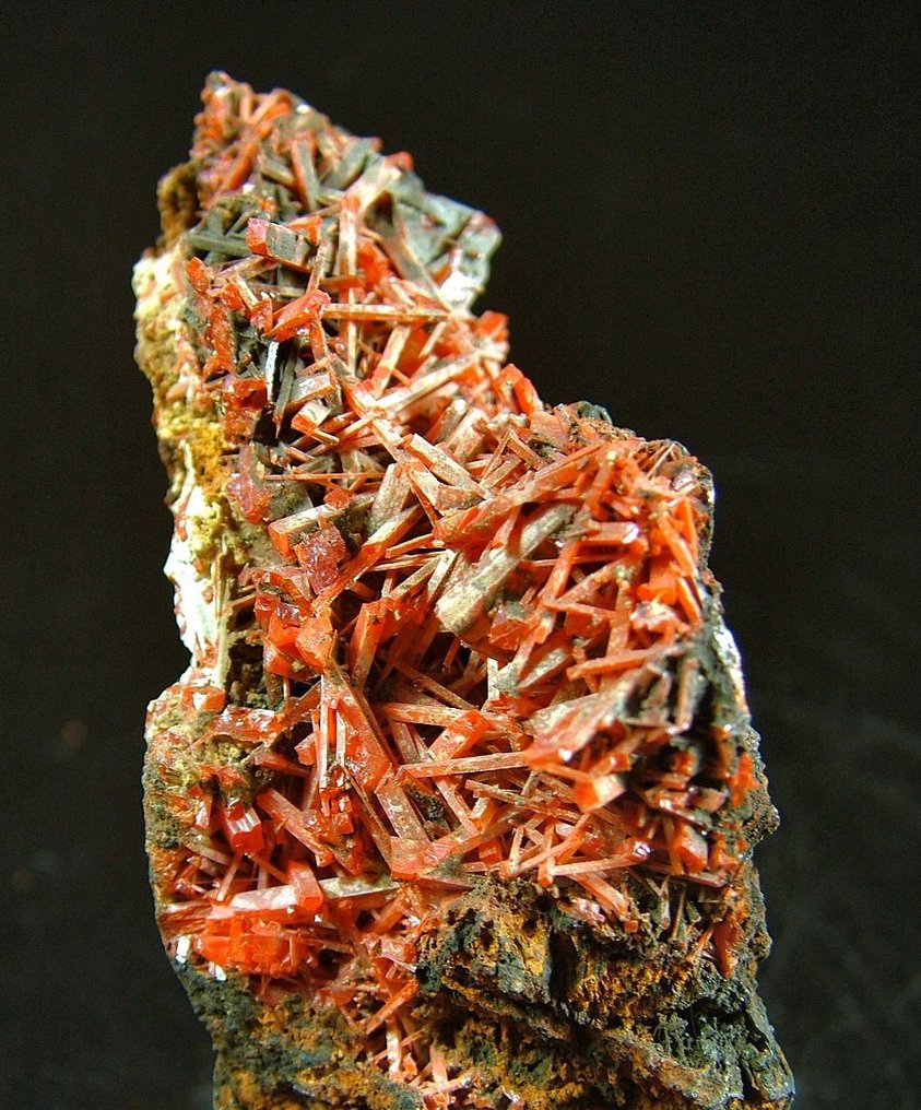 CW0957 Coloratissima Crocoite Cristalli su matrice - Altezza: 97 mm - Larghezza: 48 mm- 135 g ...