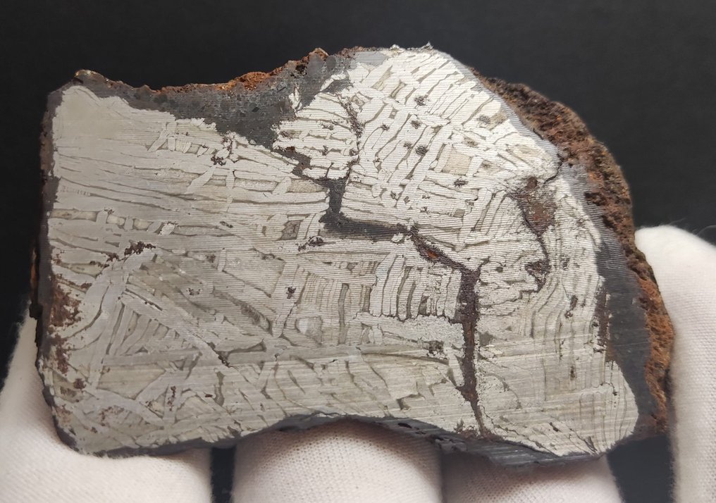 Météorite ALETAI - Iron IIIE-an - Hauteur : 80 mm - Largeur : 50 mm- 264 g - Catawiki