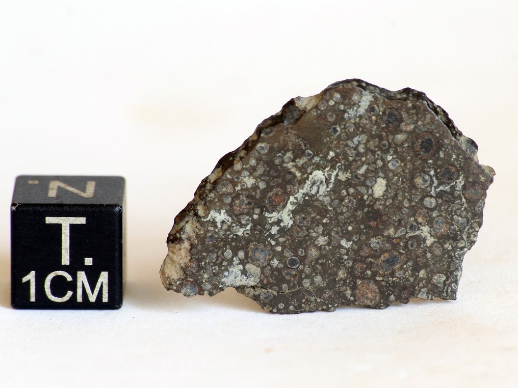 CV3 Contient des chondres de type I et de type II NWA 13028 Météorite ...