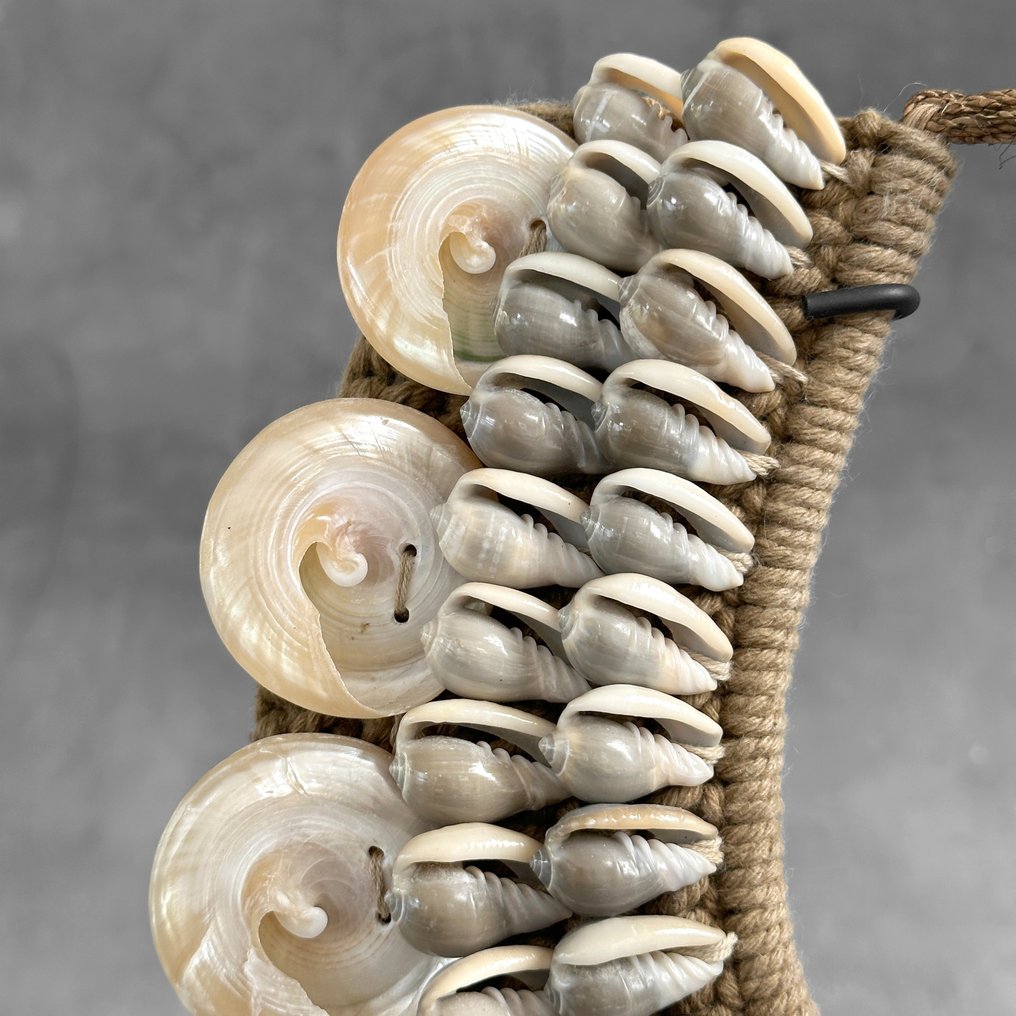 Decorative ornament (1) - - NO RESERVE PRICE - SN21 - Beautiful ...