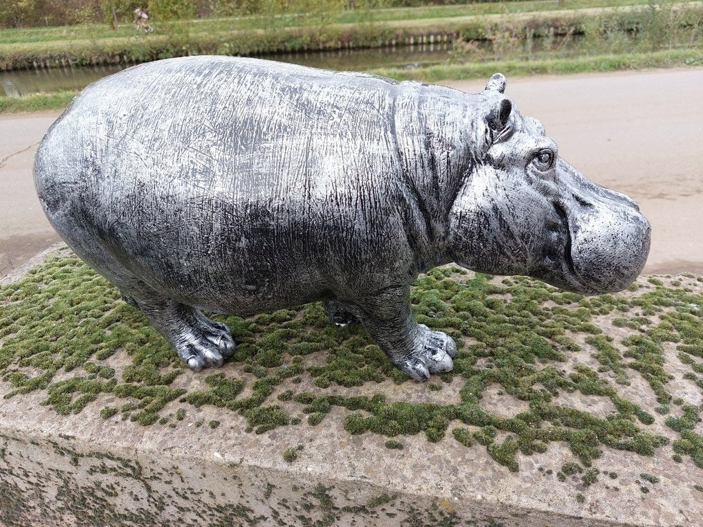 Beeld, 67 cm large hippopotamus (hippo) in silver bronze finish - 36 cm ...