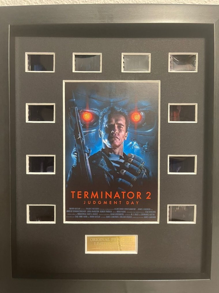 Terminator 2 Judgment Day - Arnold Schwarzenegger - Framed Film Cells ...