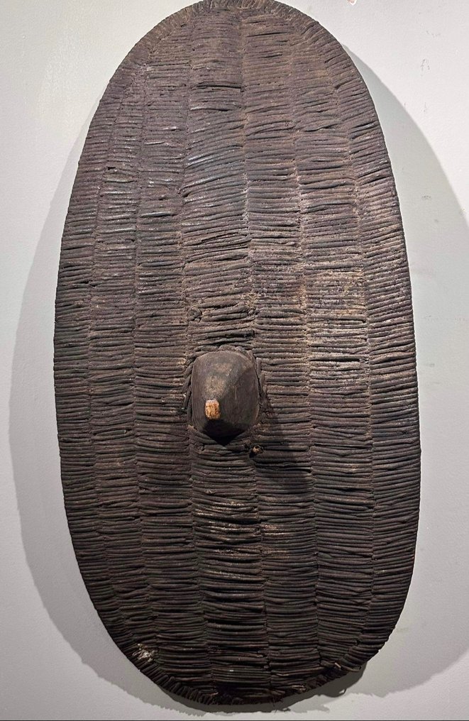 Oblong Wicker Shield DRC - Central African Republic - Catawiki