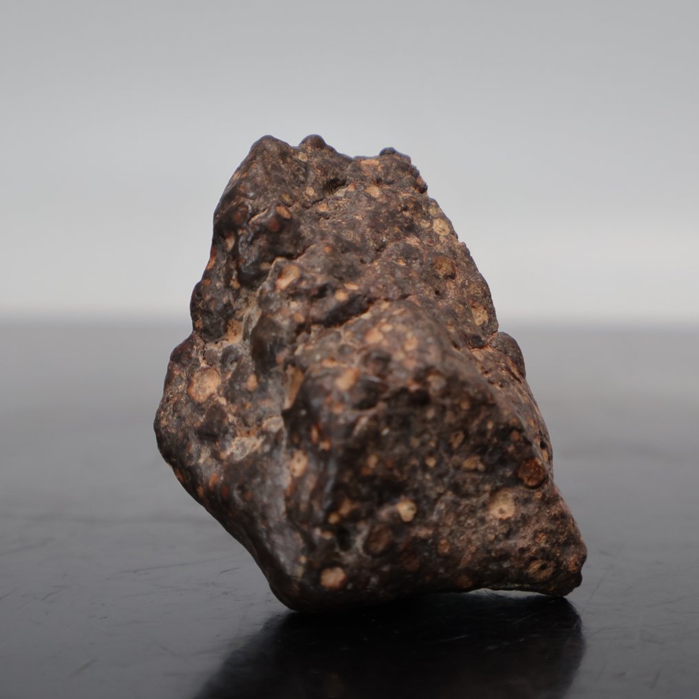 CR2 NWA 13880 Carbonaceous Chondrite- 33 g - Catawiki
