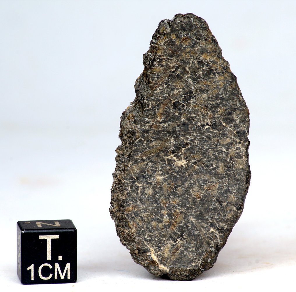 Slice of Martian meteorite NWA 15196 (Shergottite) Achondrite Meteorite ...