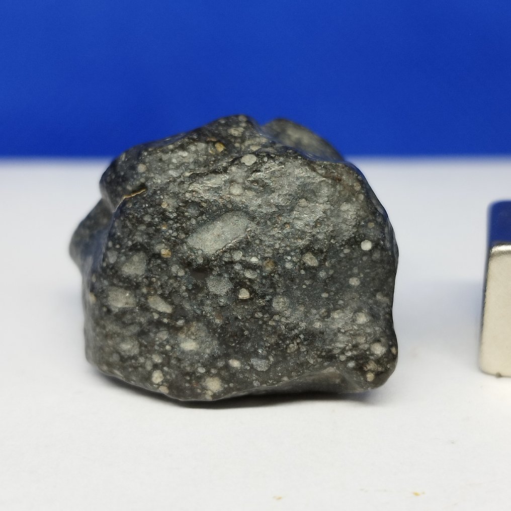 -Nur 1959 g auf der Welt- RUMURUTI Chondrite R3-6. NWA 13683 (Sahara ...