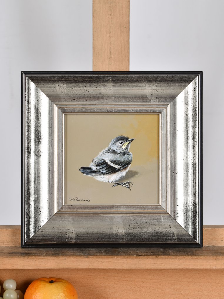 Cees Roorda (1942) - Young bird - Catawiki