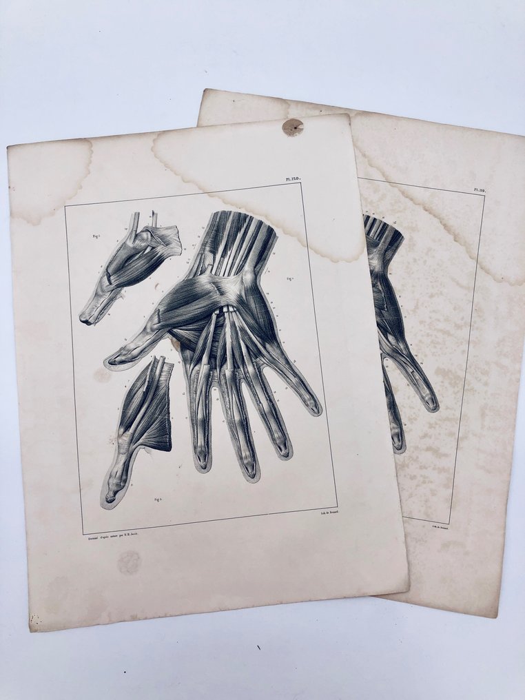 Nicolas-Henri Jacob - Nicolas-Henri Jacob - Jean-Baptiste Marc Bougery ...