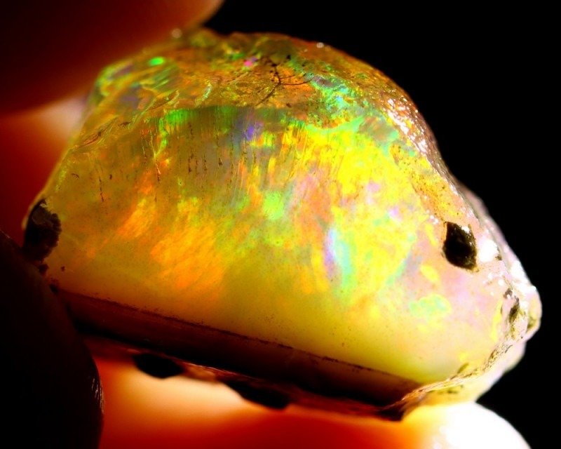 26 cts - Cristal Contraluz Ópalo - "Inclusión de fósiles vegetales" en ...