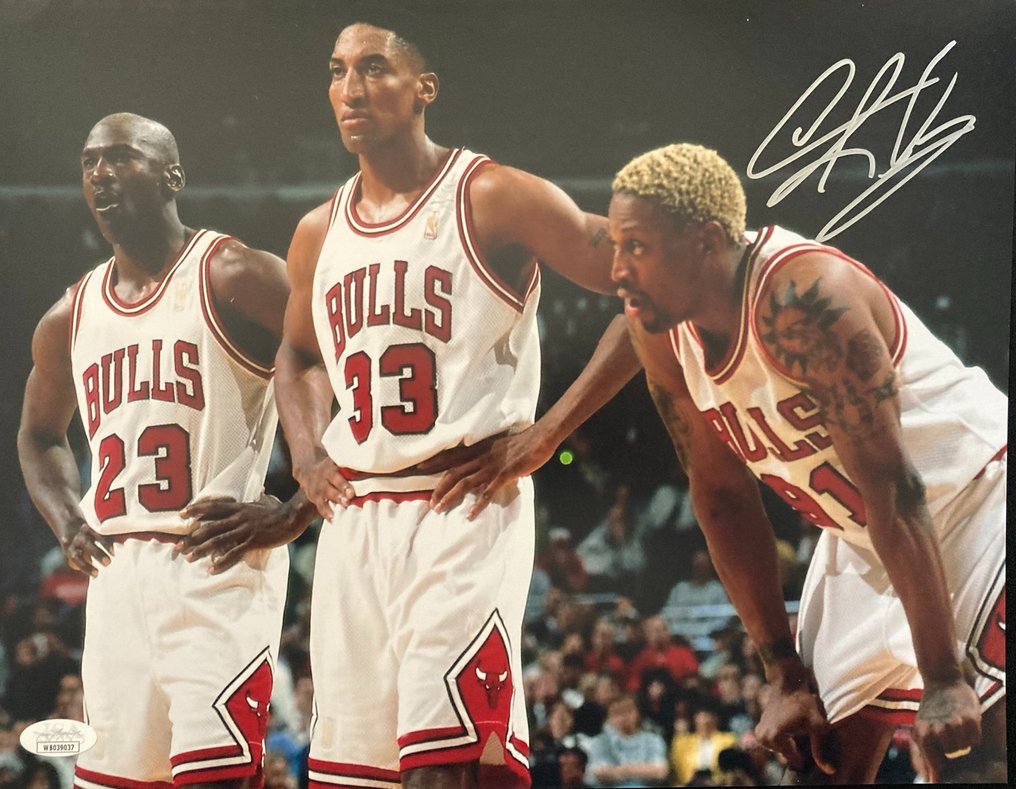 Chicago Bulls - NBA - Dennis Rodman Photograph, Autograph - Catawiki