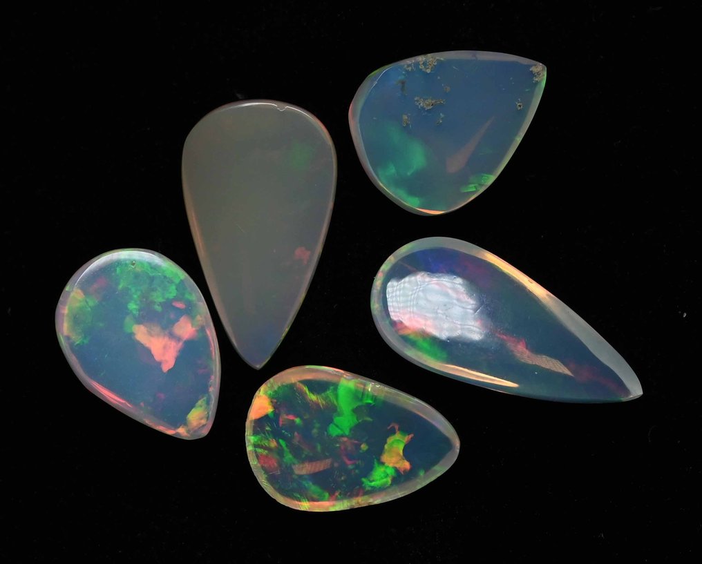 5 pcs Play of Color Opal - 13.05 ct - Catawiki