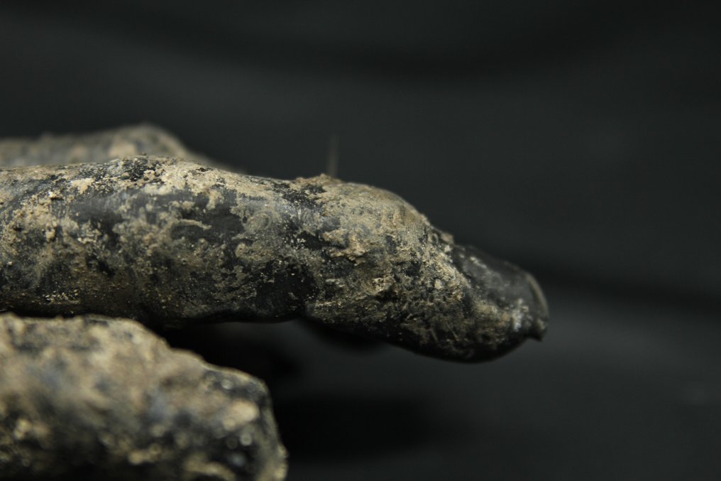 Egyptian Mummified Hand - museum-quality replica - - - - Catawiki