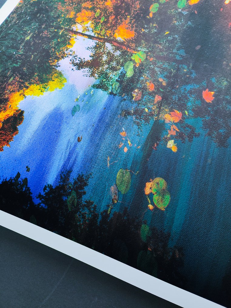 Viet Ha Tran - The breath of autumn V - Catawiki