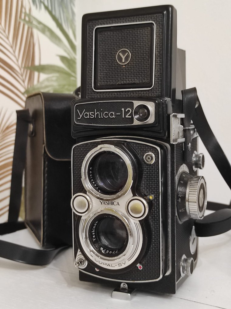 Yashica 12