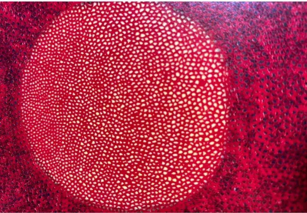 Yayoi Kusama (1929) - Infinity Nets 1965 - Catawiki