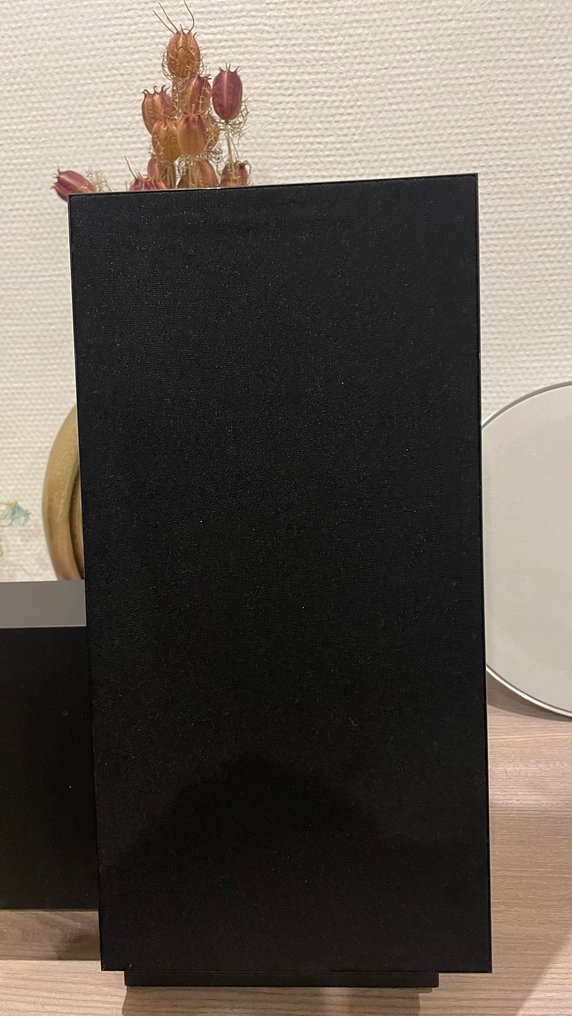 Bang & Olufsen - BeoLab 2500 - Active Loudspeakers Speaker set - Catawiki