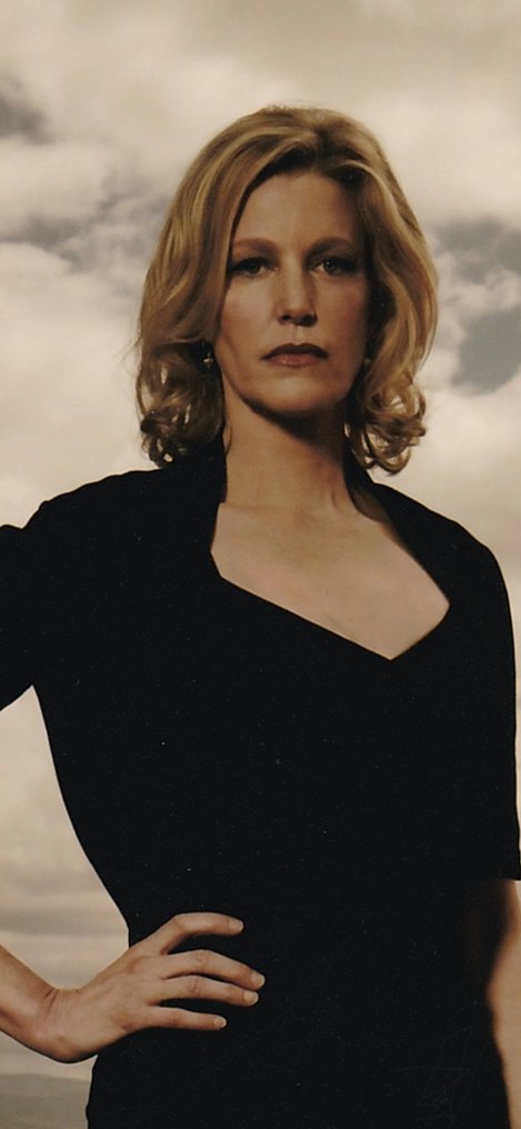 Breaking Bad Signed By Anna Gunn Skyler White Catawiki