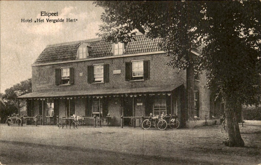 Pays-Bas - Elspeet - Carte postale (82) - 1900-1960 - Catawiki