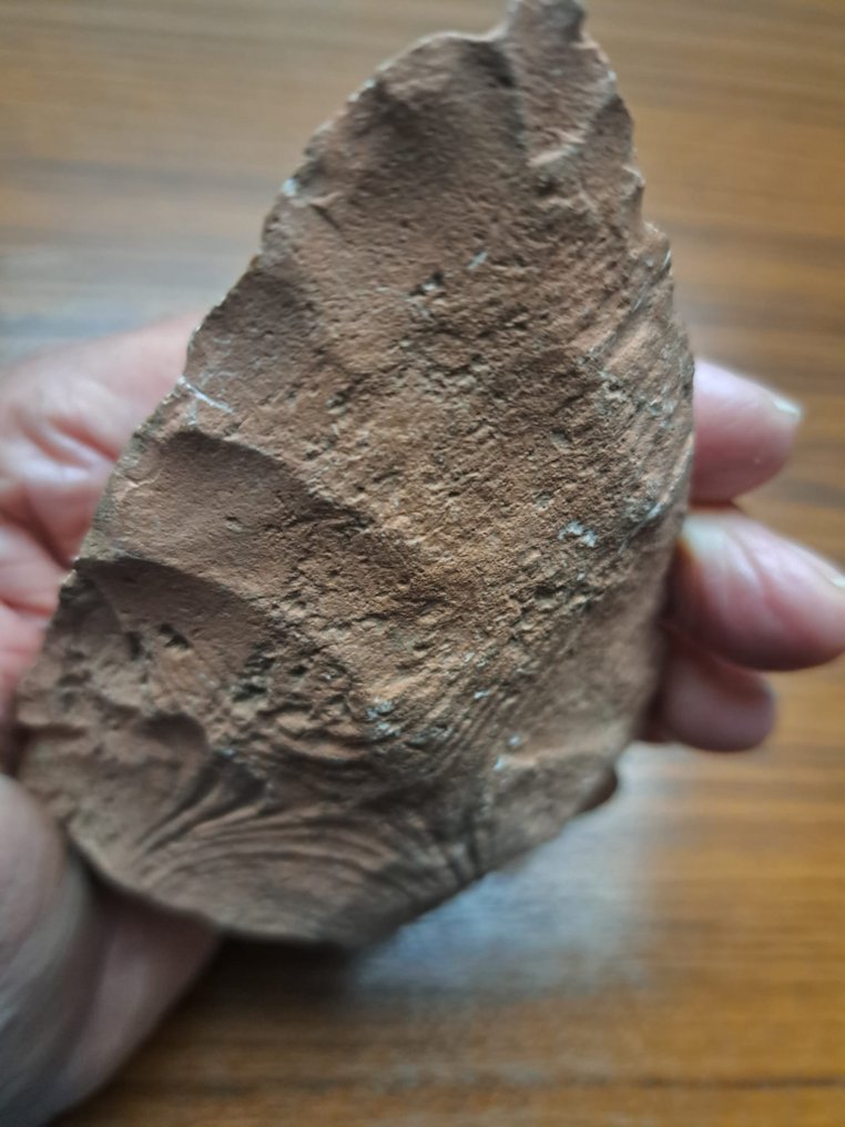 Acheulean Quartzite Hand axe - 14 cm - Catawiki