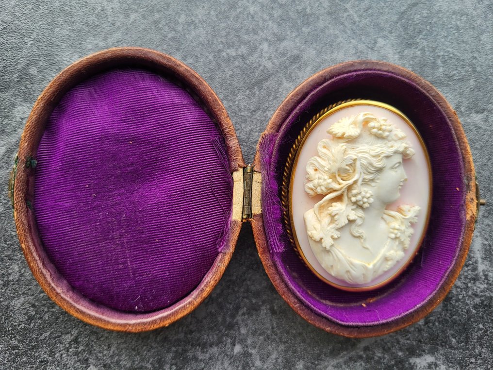 Zeldzame kwaliteit grote camee broche 14 karaats goud in originele doos - 14 kt. Gold - Brooch ...