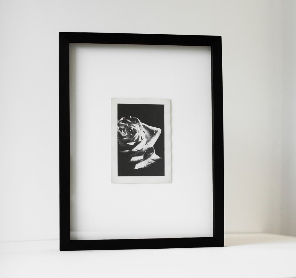 Anna Khavro Under The Skin Gelatin Silver Print Signed Limited Edition Framed Catawiki