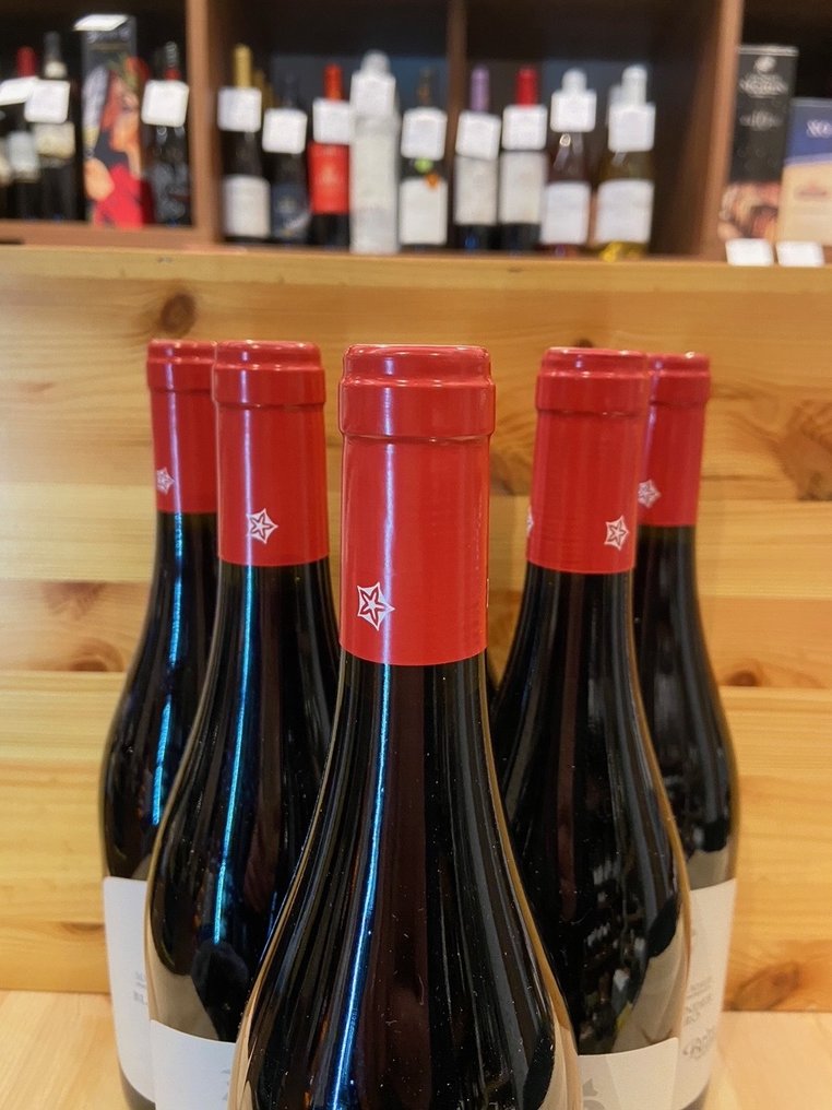 2021 Von Blumen, Pinot Nero Alto Adige "514" - Alto Adige DOC - 6 Bottles (0.75L) - Catawiki