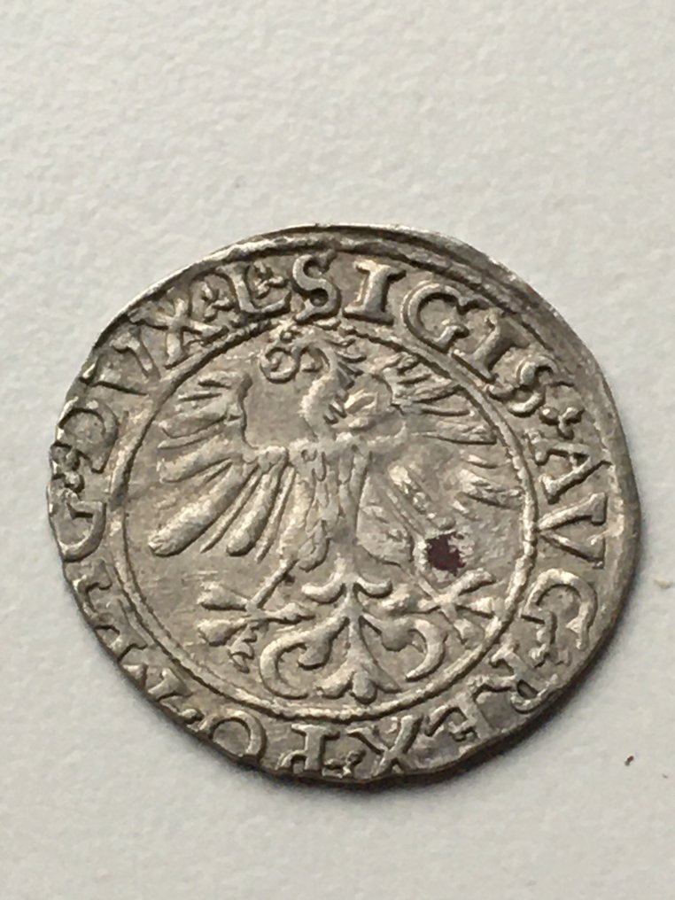 Poland. Zygmunt II August (1545-1572). Półgrosz 1561 Wilno - Catawiki