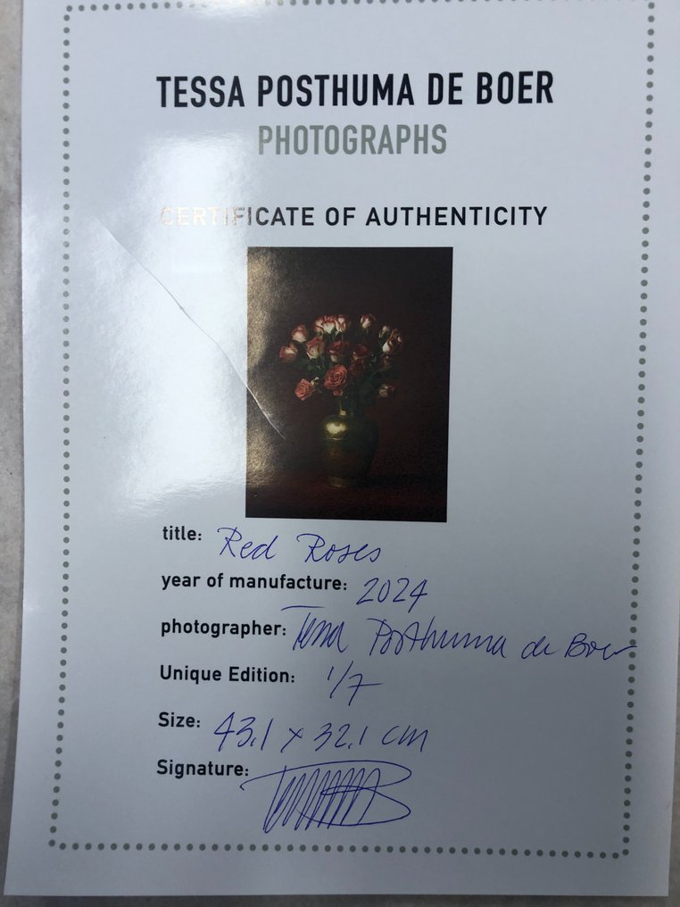 Tessa Posthuma de Boer - Red Roses - Catawiki