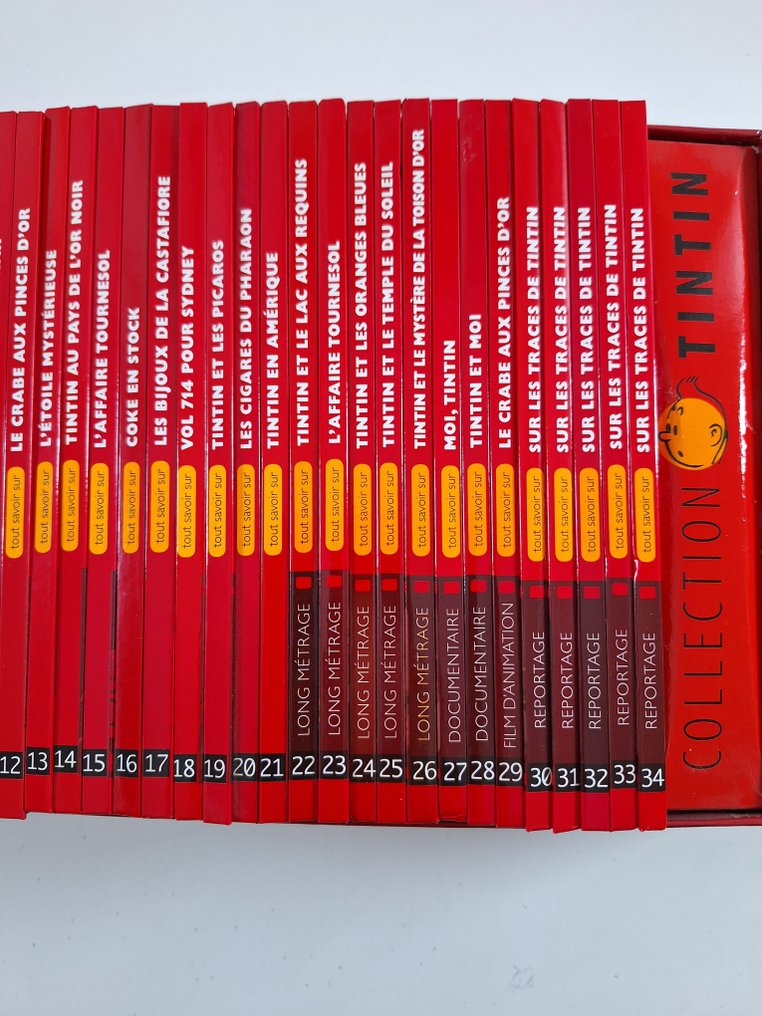 Tintin - Tintin -