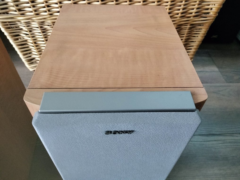 Sony - SS-NX1 Speaker set - Catawiki